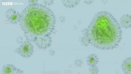 Gripe espanhola: por que a epidemia que matou milhões foi tão letal ...