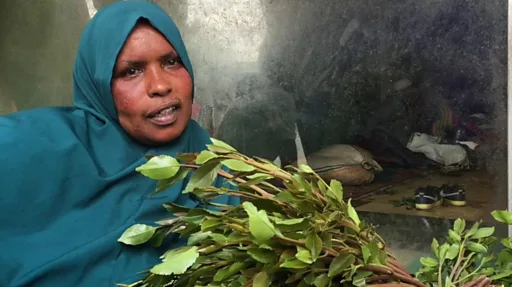 Daldala jimaa: Michooma Awwadaayi fi jimaa, hamma yaaddaniin olitti ...