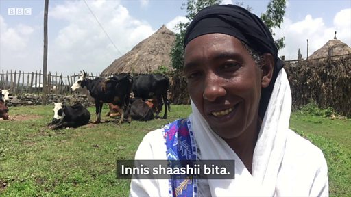 Aadaa Oromoo Salaalee: Wadaajii - dhungoo, karameellaa, shaashiii ...