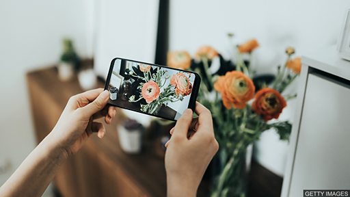 BBC Learning English - 你问我答 / Modify, revise, amend, alter 区别是什么？