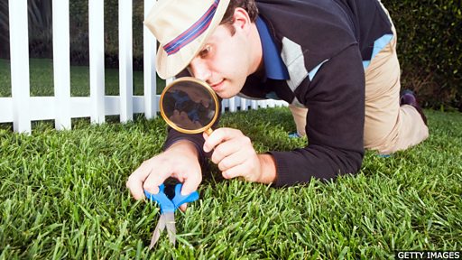 BBC Learning English - The English We Speak / Bug someone