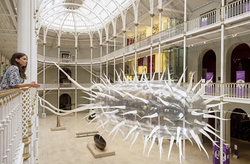 Giant inflatable E. coli bacteria sculpture goes on display in Scotland ...