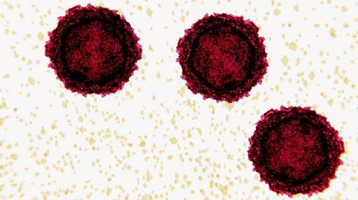 Dečija paraliza i polio virus: Šta je polio i kako se širi - BBC News ...
