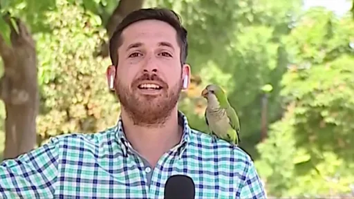 Yadda aku ya cire wa dan jarida iyafis yana cikin aika rahoto - BBC ...