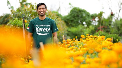 Cara pemuda Bali jadi 'petani cerdas' yang melawan anjloknya pariwisata - BBC News Indonesia