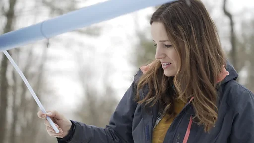 Canada's maple syrup reserve hits 16-year low - BBC News