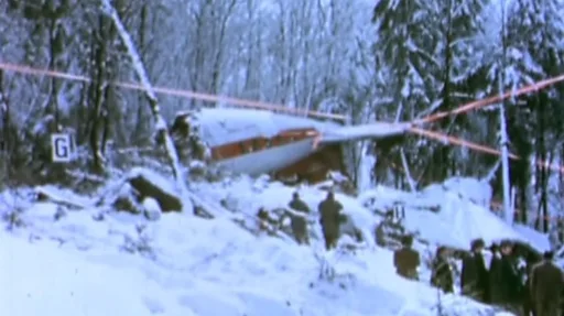 Man tells of axe escape from Basel plane crash - BBC News