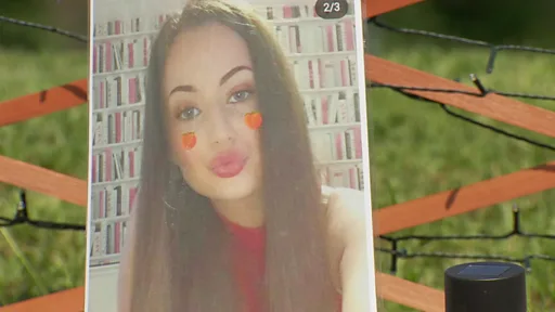 Chloe Mitchell: Murder victim's family speak of 'living hell' - BBC News