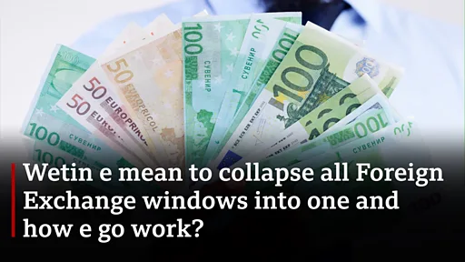 Wetin e mean to collapse all Foreign Exchange windows into one and how ...