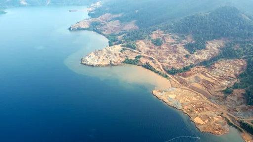 Nikel Indonesia: Limbah tambang mengancam lingkungan di Sulawesi Tenggara - ‘Yang kamu rusak ...
