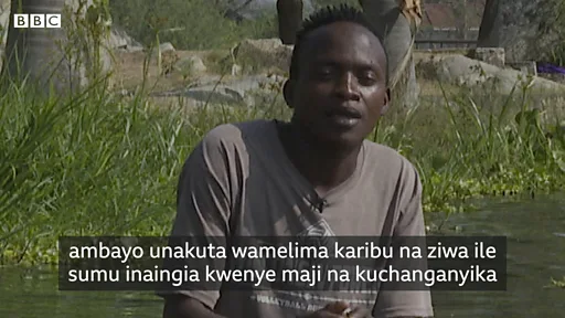 Shughuli za kilimo zinavyohatarisha ikolojia ya Ziwa Victoria - BBC ...