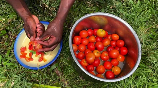 ሚስቶቻቸውን በቤት ውስጥ ሥራ ለማገዝ ሥልጠና የሚወስዱት ወንዶች - BBC News አማርኛ