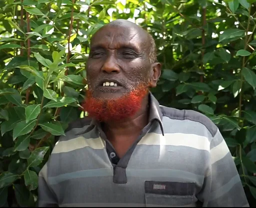 Rakkoo gabaa jimaa uumame jedhamerratti qonnaan-bultoonni maal jedhu ...