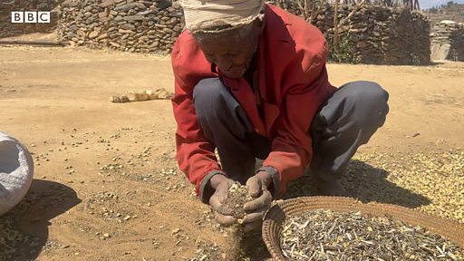 "Hongee bara 1977 caaluuti mudate"-Anga'oota Tigraay - BBC News Afaan ...