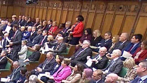 Hand Frank Hester money to charity of Diane Abbott's choosing - MP ...