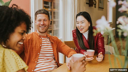 BBC Learning English - 你问我答 / Ordinary, normal, common 区分表示 “普通的” 三个词语