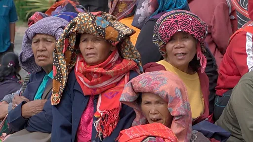 Food Estate Sumatra Utara: Perjuangan perempuan Desa Ria-Ria di lumbung ...