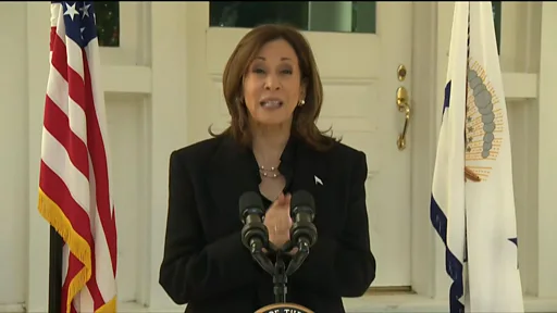 Why Harris moved from 'joy' to calling Trump a 'fascist' - BBC News