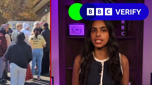 Voter fraud claims flood social media before US election - BBC News