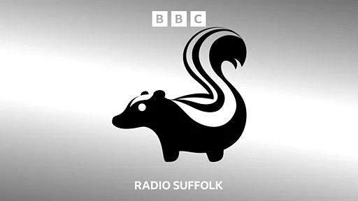 'Shy but loving' skunk Buddy goes on the run from Suffolk farm - BBC News