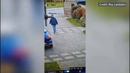 Flamstead hawk finally captured after terrorising village - BBC News