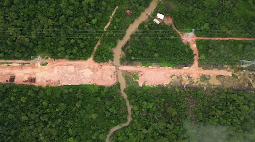 Amazon rainforest cut down to build highway for COP climate summit - BBC News