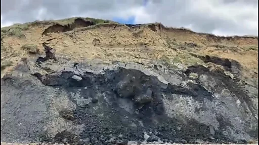 Moment of Charmouth cliff collapse captured during beach walk - BBC News