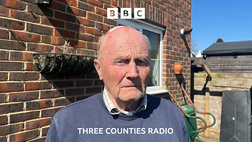 Flamstead hawk finally captured after terrorising village - BBC News