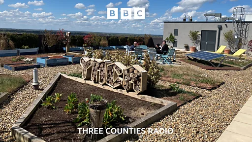 Green roof studied on Milton Keynes Open University building - BBC News