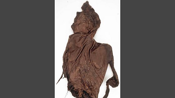 BBC Four - 4,000-Year-Old Cold Case: The Body in the Bog, 4,000 -Year ...