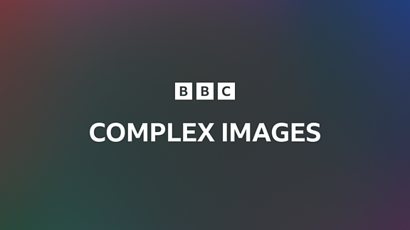 BBC GEL | How to write text descriptions (alt text) in BBC News articles