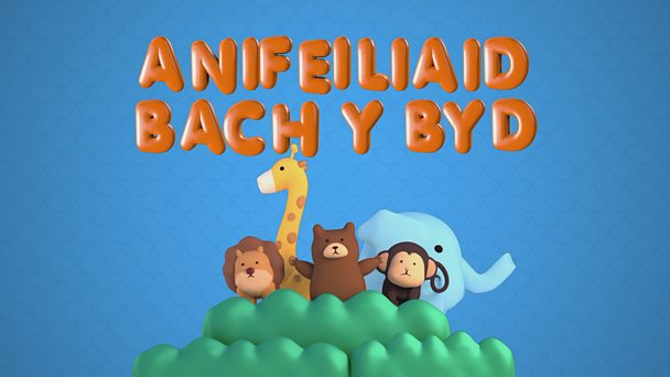 Watch S4C live - BBC iPlayer