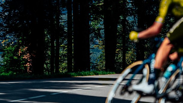 Watch S4C live - BBC iPlayer