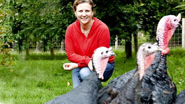 Easy turkey curry recipe - BBC Food