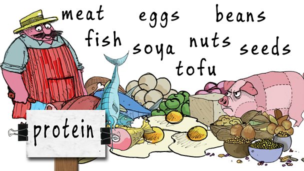 GCSE Design and Technology: Food Preparation and Nutrition - BBC Teach