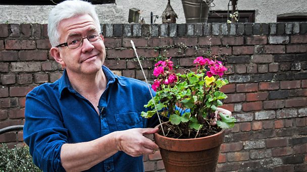 Love songs to local places for National Poetry Day - BBC Arts