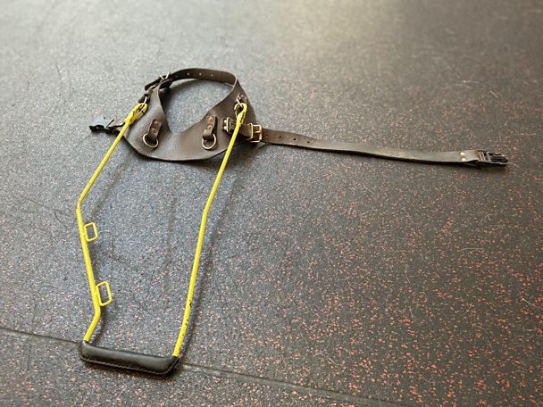 Working as a guide dog trainer: Lynsey's story - BBC Bitesize