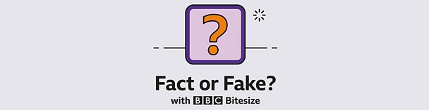 Quiz: Can you spot the real images? - BBC Bitesize