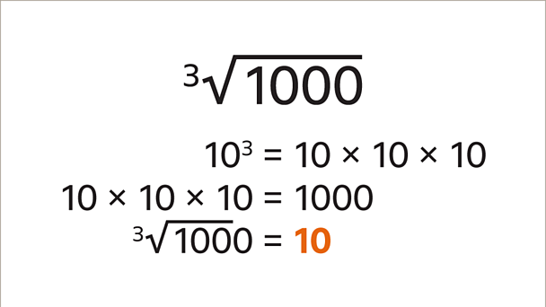 Roots - BBC Bitesize