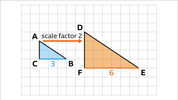 Enlargement - KS3 Maths - BBC Bitesize - BBC Bitesize