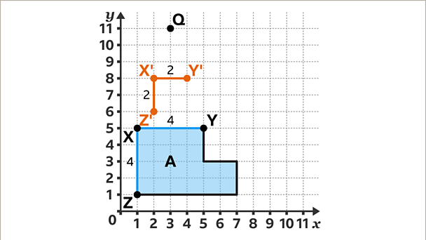 Enlargement - KS3 Maths - BBC Bitesize - BBC Bitesize