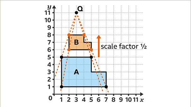 Enlargement - KS3 Maths - BBC Bitesize - BBC Bitesize