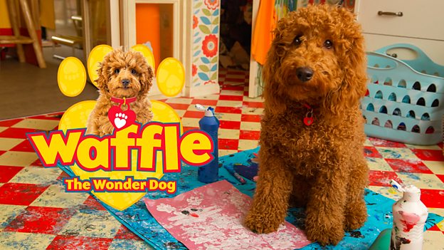 BBC iPlayer - CBeebies - Featured