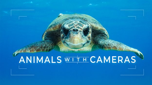 BBC iPlayer - Documentaries