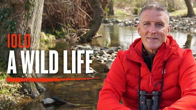 BBC iPlayer - Science & Nature - Featured