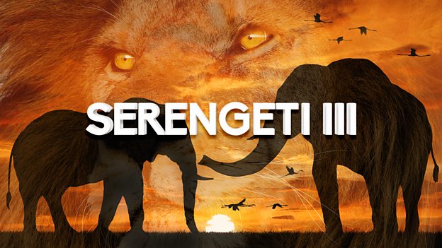 BBC iPlayer - Science & Nature - Featured