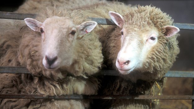 Reproduction DNA and Genetics - BBC Bitesize