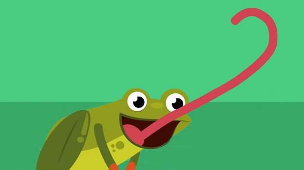 KS2 Science - BBC Bitesize