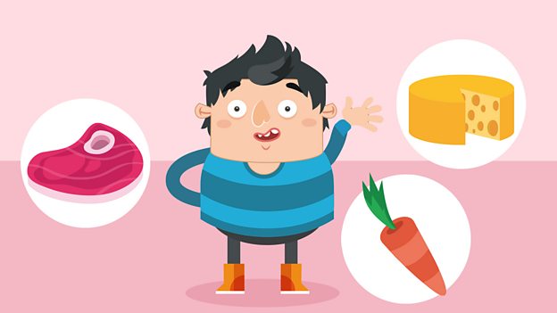 The Human Body - KS2 The World Around Us - BBC Bitesize