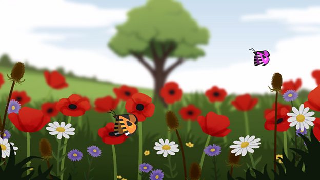 Plants - KS1 Science - BBC Bitesize